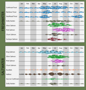 Fish Run | FishorHunt.com