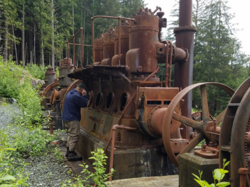 Sight Seeing | FishorHunt.com