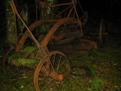 Sight Seeing | FishorHunt.com