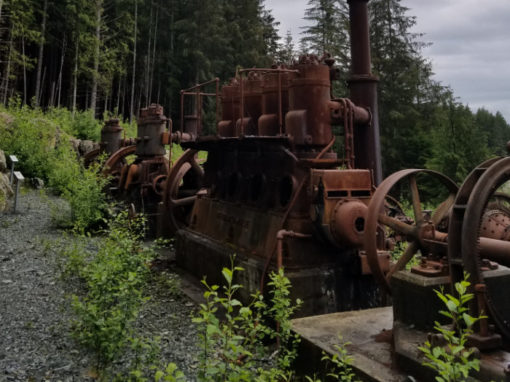 Sight Seeing | FishorHunt.com